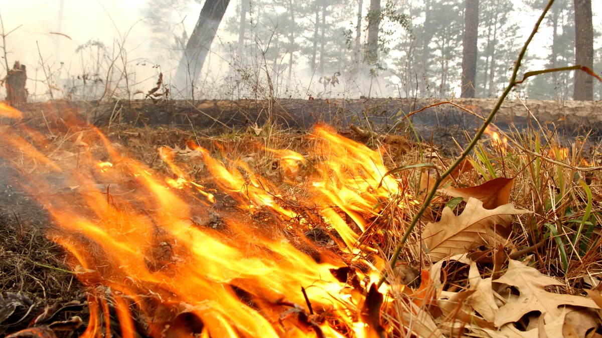 Outdoor Burn Ordinance - Unity Township Bureau Of Fire